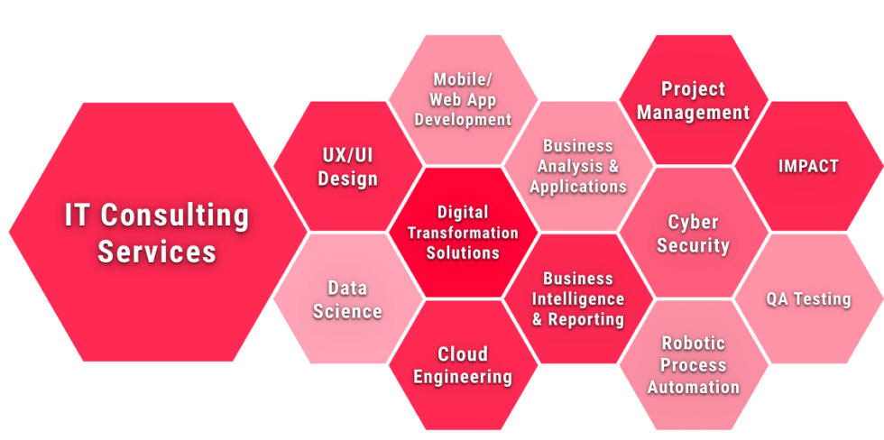 IT Consulting Services - Interapt